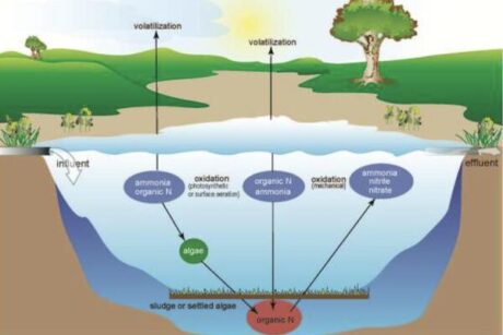 TP – 1267 An Introduction to Physical Design of Wastewater Ponds for ...